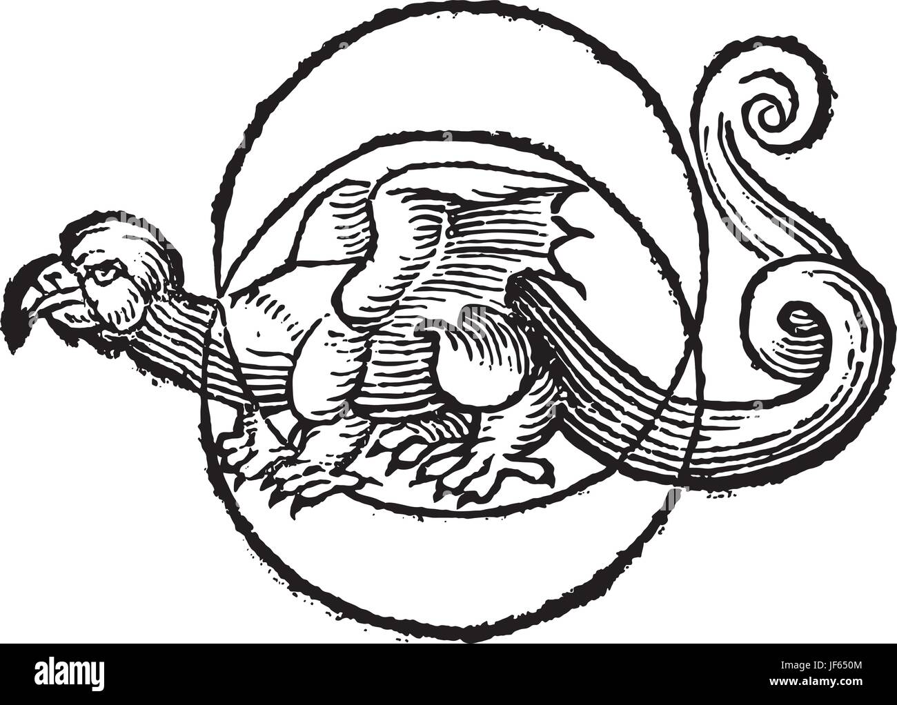 Dragon snake hi-res stock photography and images - Alamy