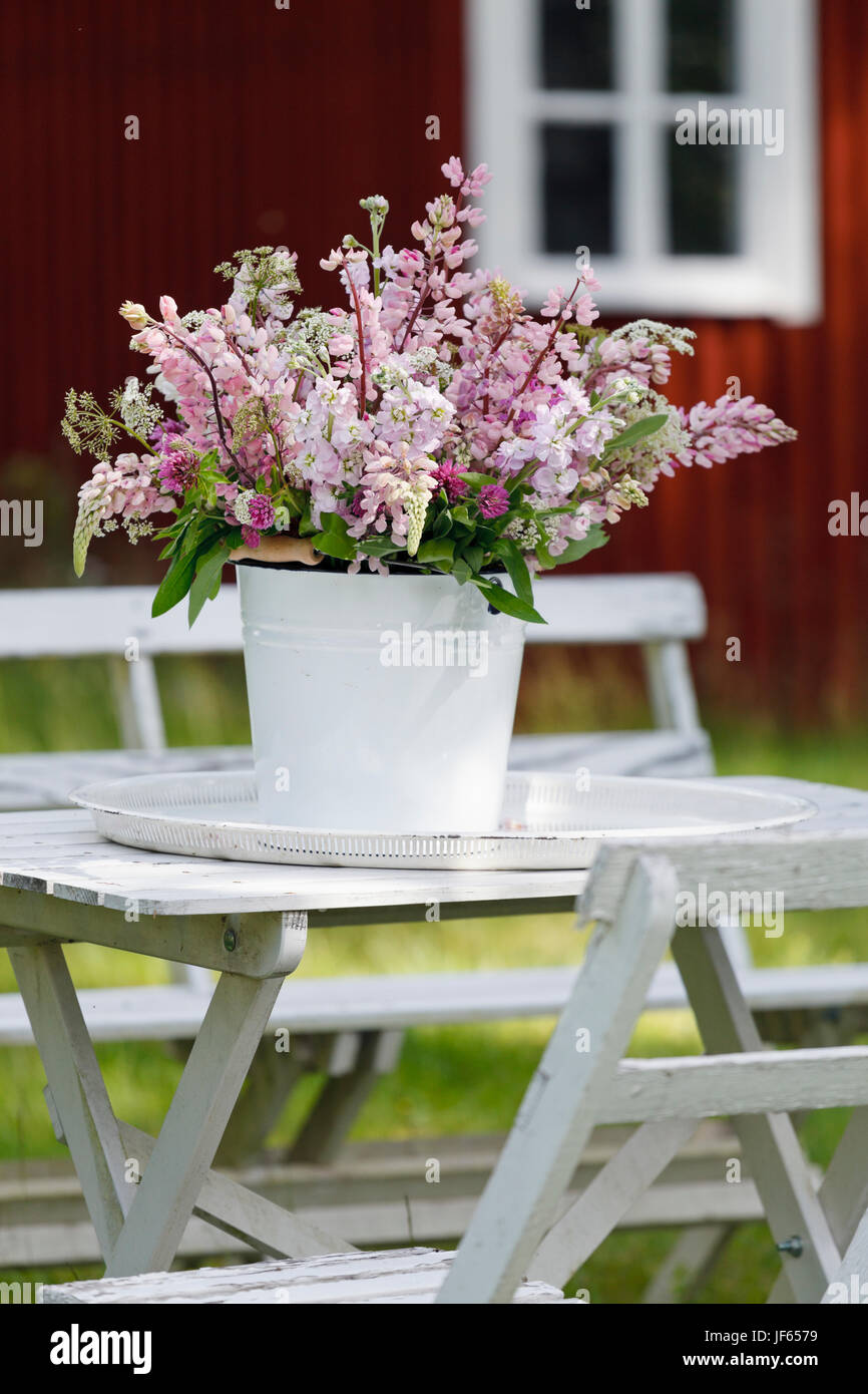 Flower on table in pot Stock Photo - Alamy