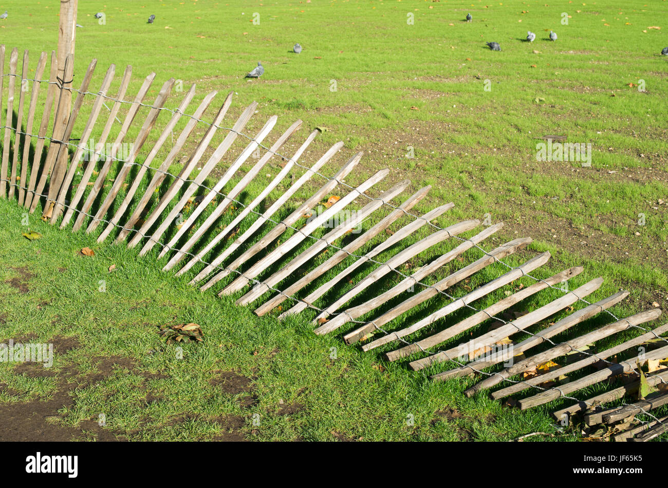 Green grass and fallen fence Stock Photo - Alamy