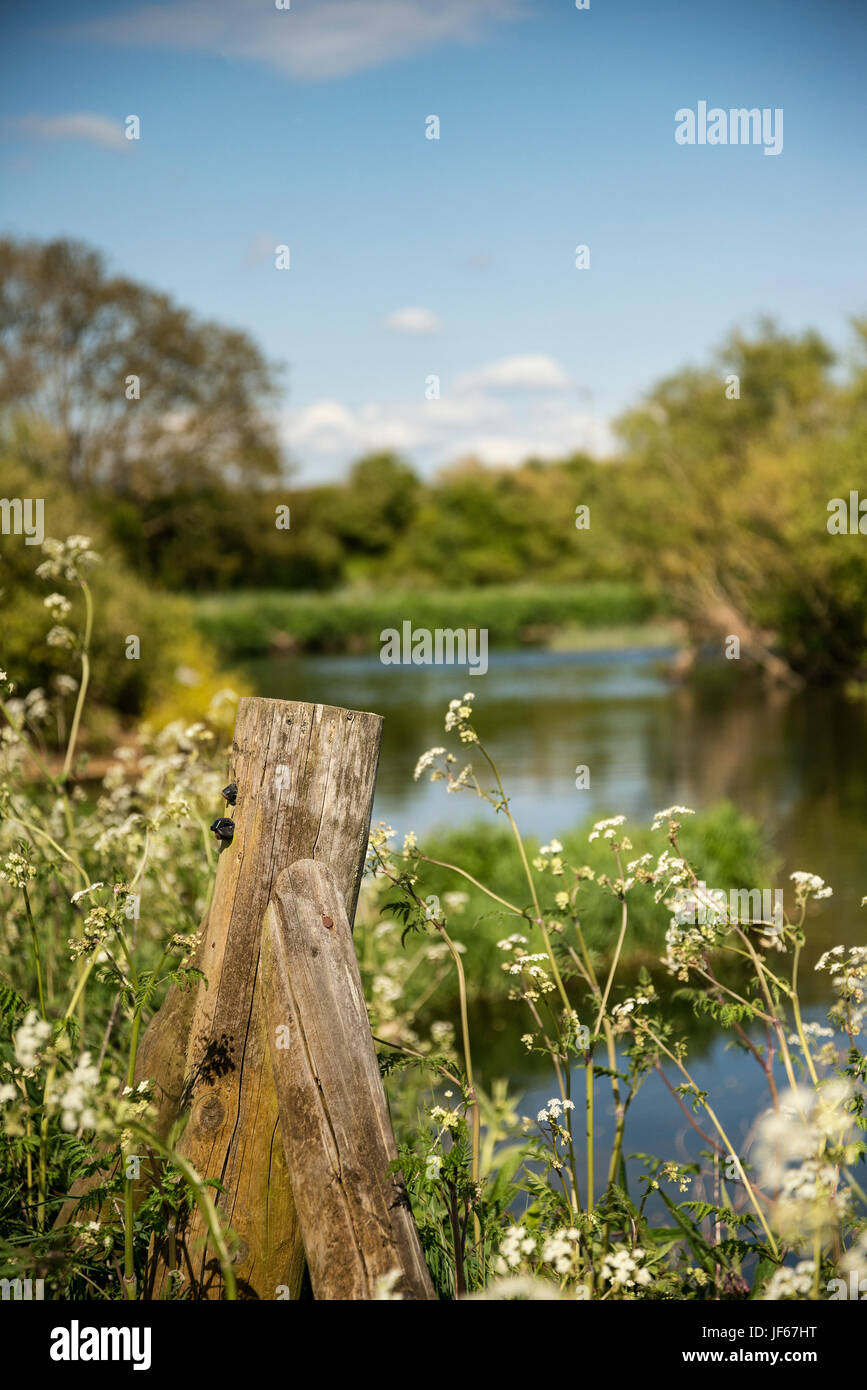 Beautiful English countryside river landscape with shallow depth of ...