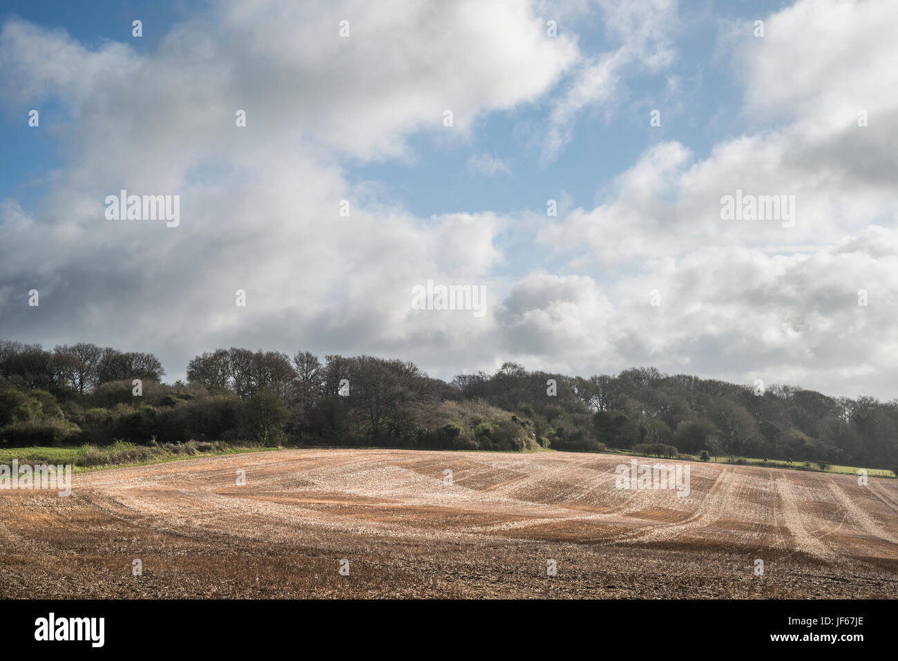 Beautiful agricultural English countryside landscape during early ...