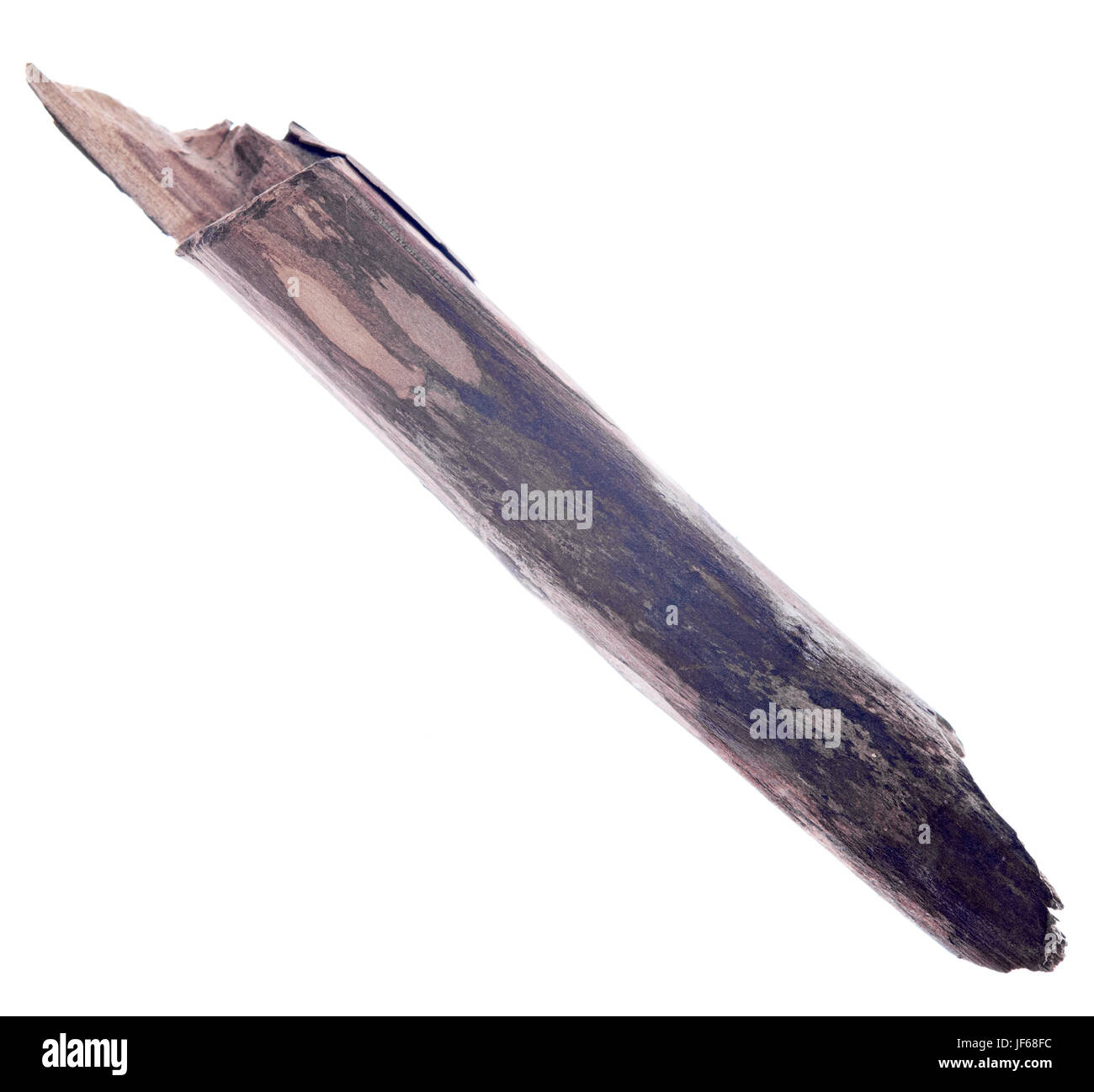 Twig hi-res stock photography and images - Alamy