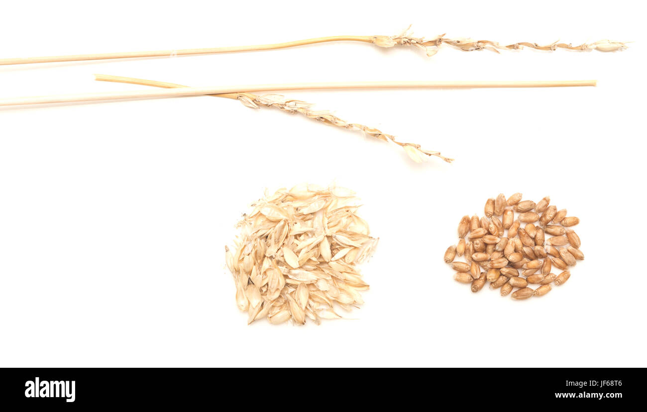 Wheat husk Cut Out Stock Images & Pictures - Alamy