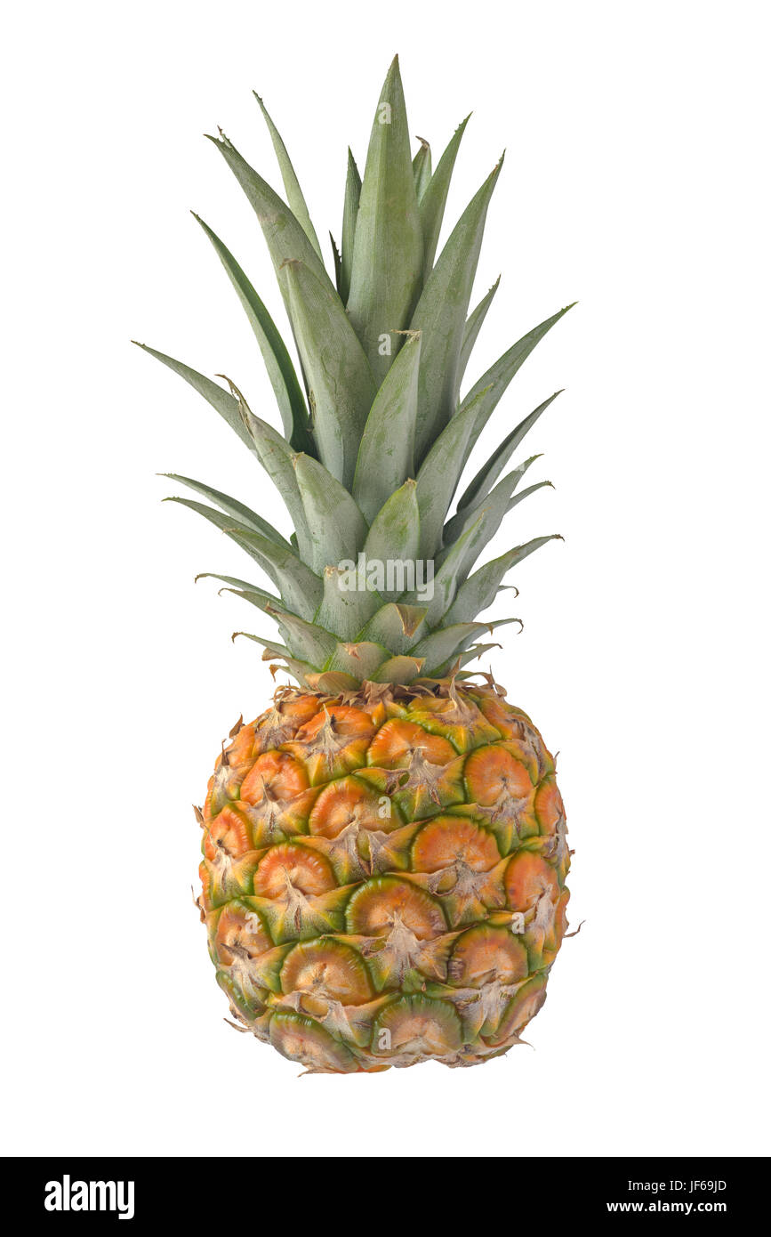Ananas baby hi-res stock photography and images - Alamy