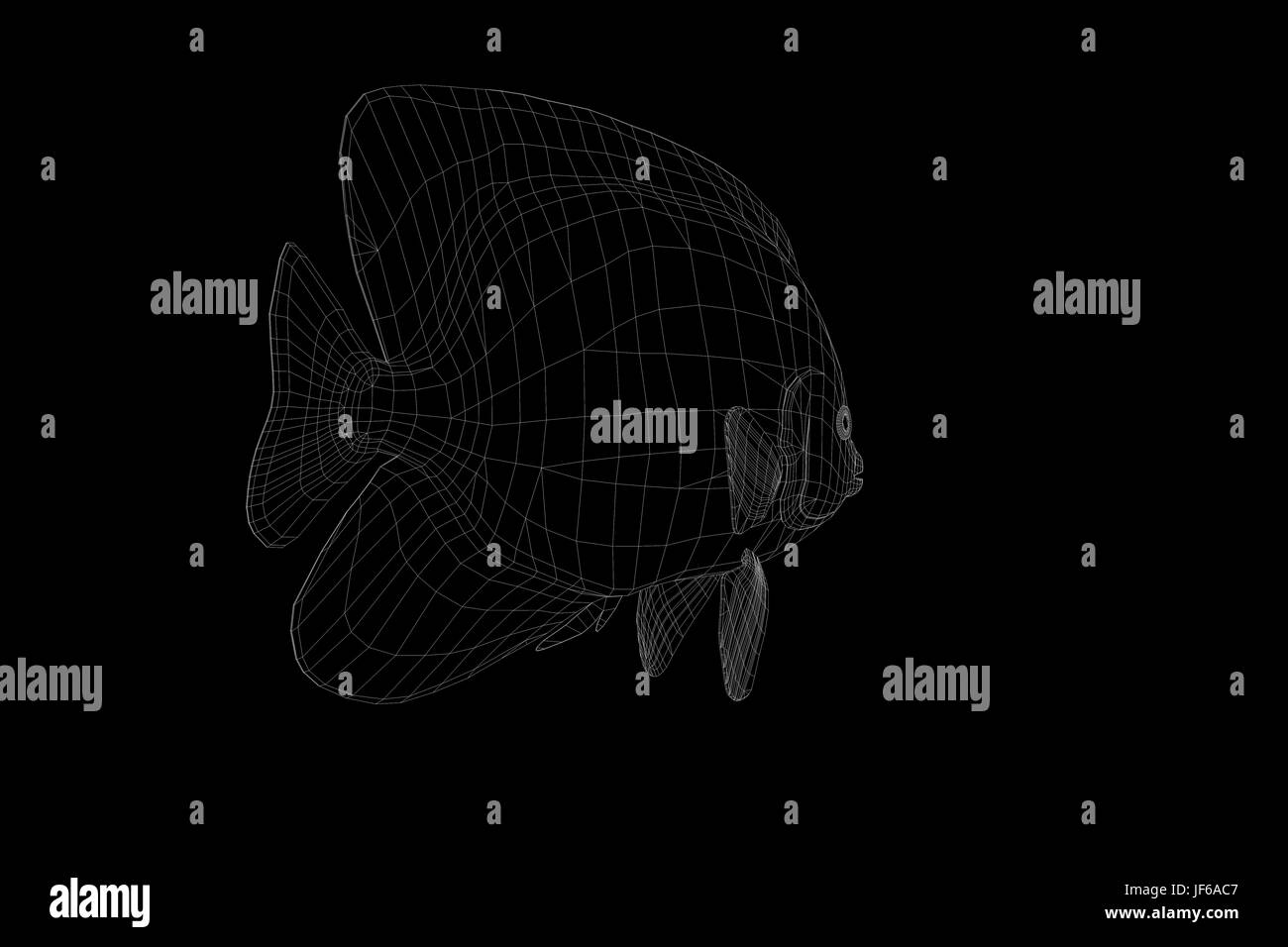 Fish in Hologram Wireframe Style. Nice 3D Rendering Stock Photo - Alamy