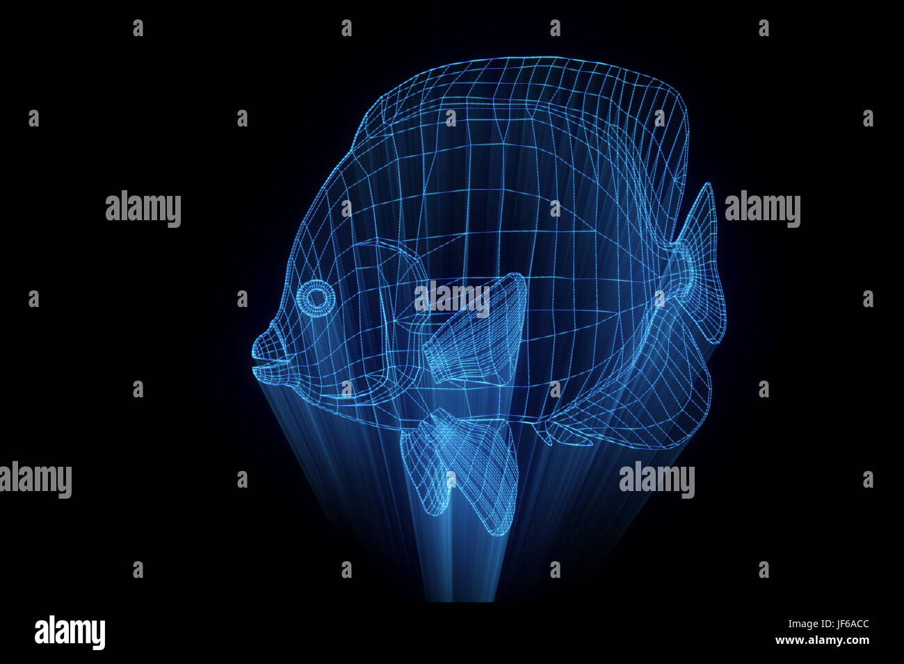 Fish in Hologram Wireframe Style. Nice 3D Rendering Stock Photo - Alamy