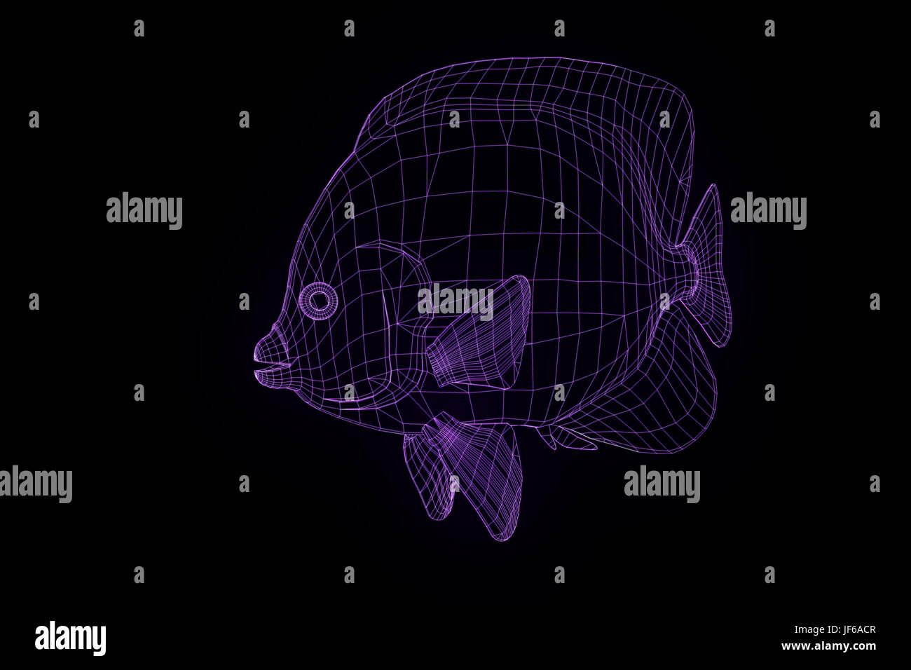 Fish in Hologram Wireframe Style. Nice 3D Rendering Stock Photo - Alamy