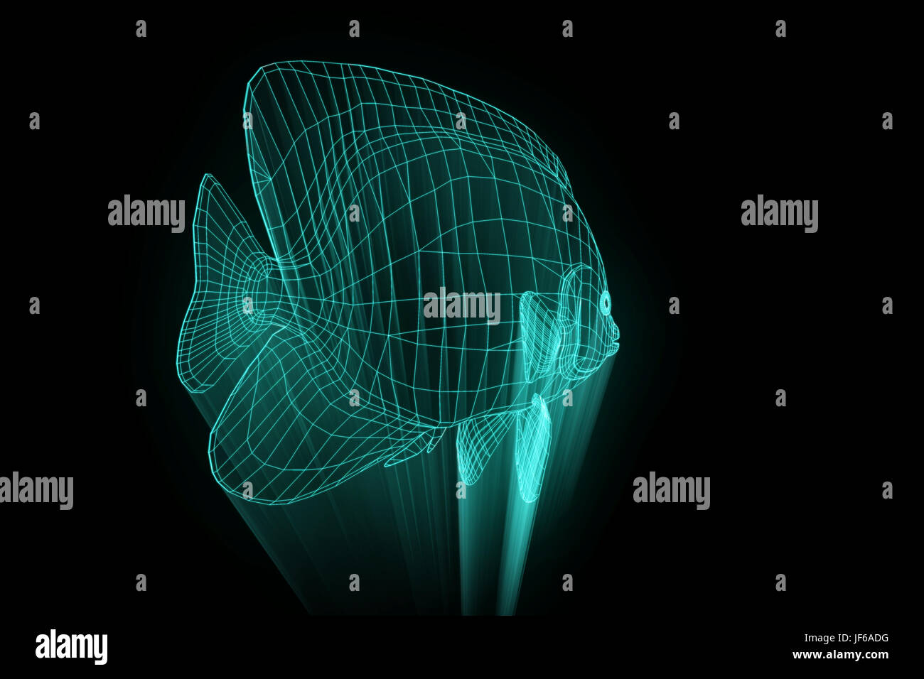 Fish in Hologram Wireframe Style. Nice 3D Rendering Stock Photo - Alamy