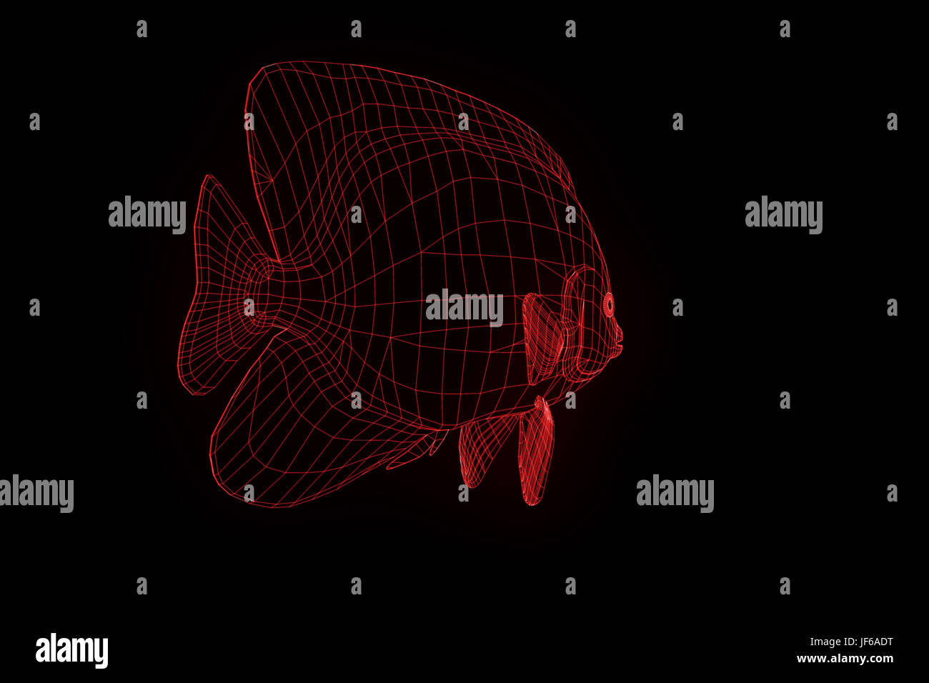 Fish in Hologram Wireframe Style. Nice 3D Rendering Stock Photo - Alamy