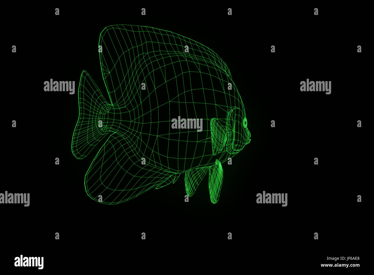 Fish in Hologram Wireframe Style. Nice 3D Rendering Stock Photo - Alamy