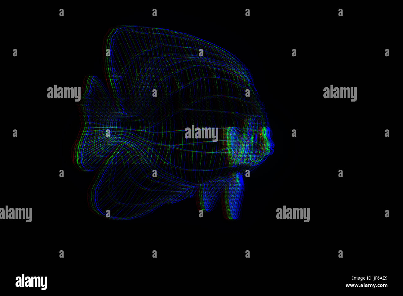 Fish in Hologram Wireframe Style. Nice 3D Rendering Stock Photo - Alamy