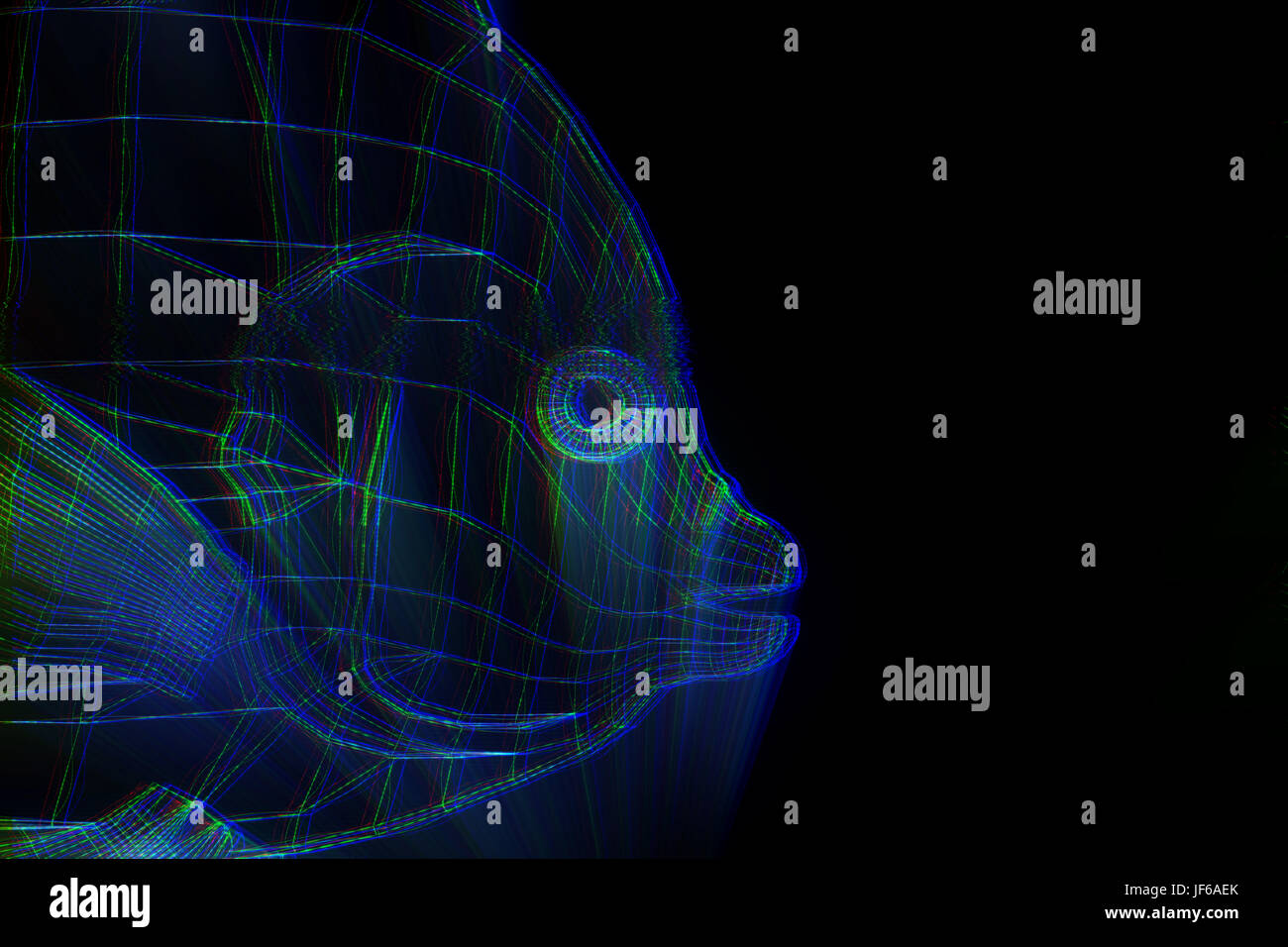 Fish in Hologram Wireframe Style. Nice 3D Rendering Stock Photo - Alamy