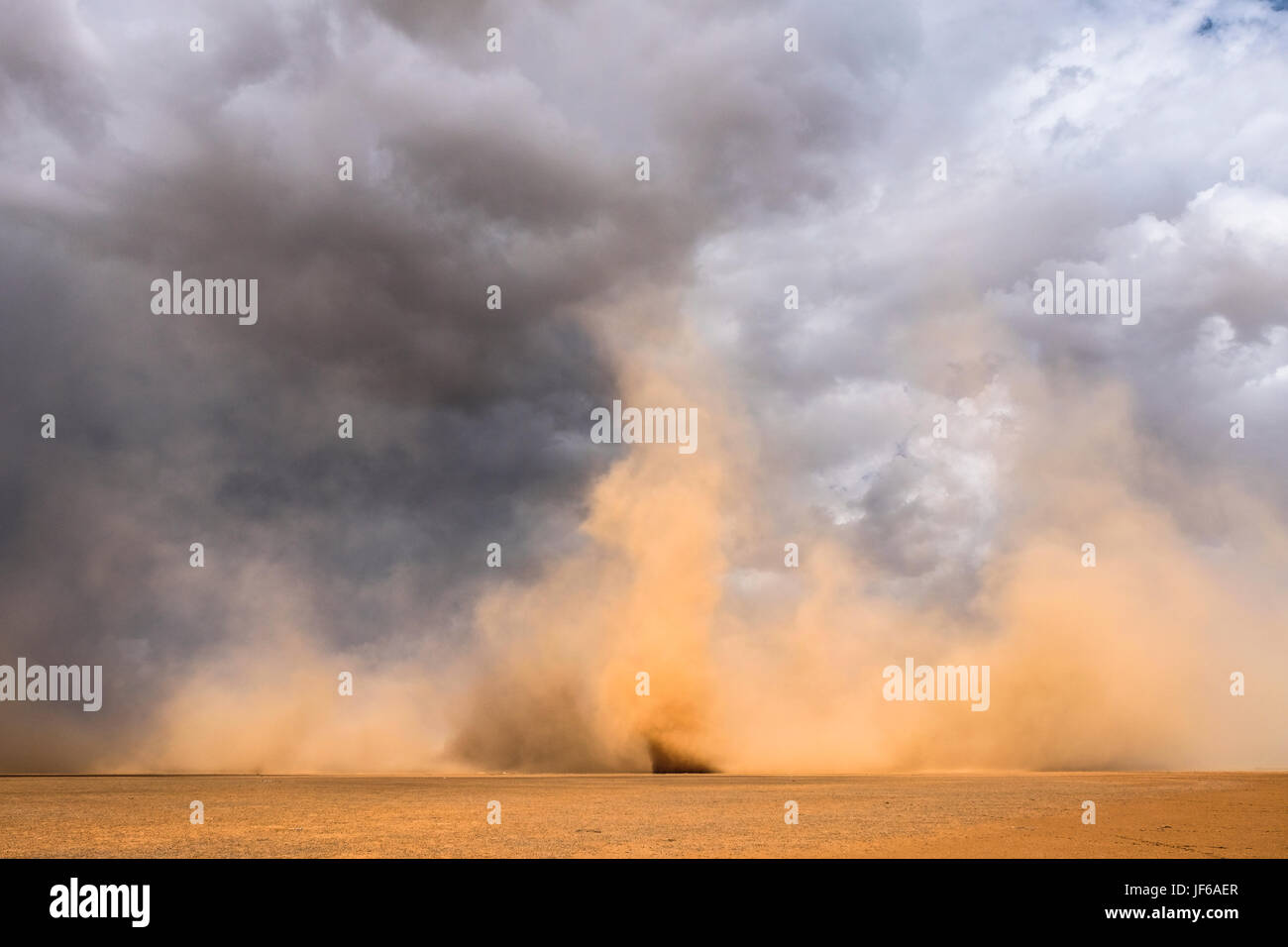 Africa storm animals hi-res stock photography and images - Alamy