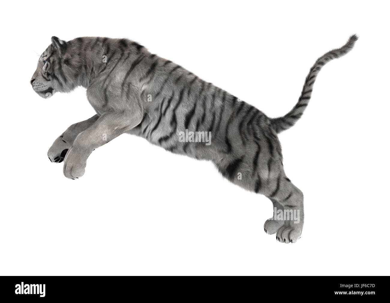 White Tiger Pouncing