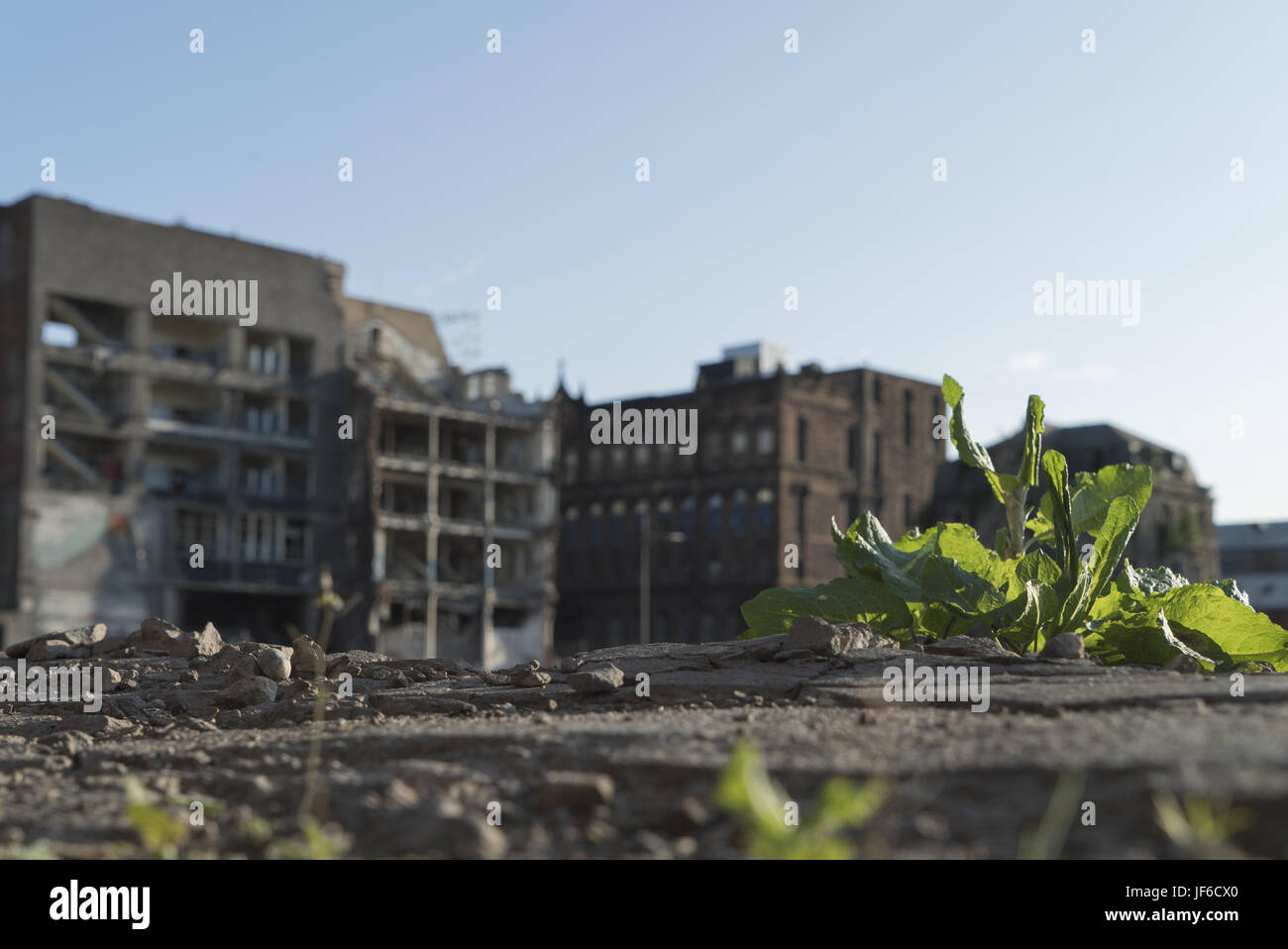 Waste conversion plant hi-res stock photography and images - Alamy