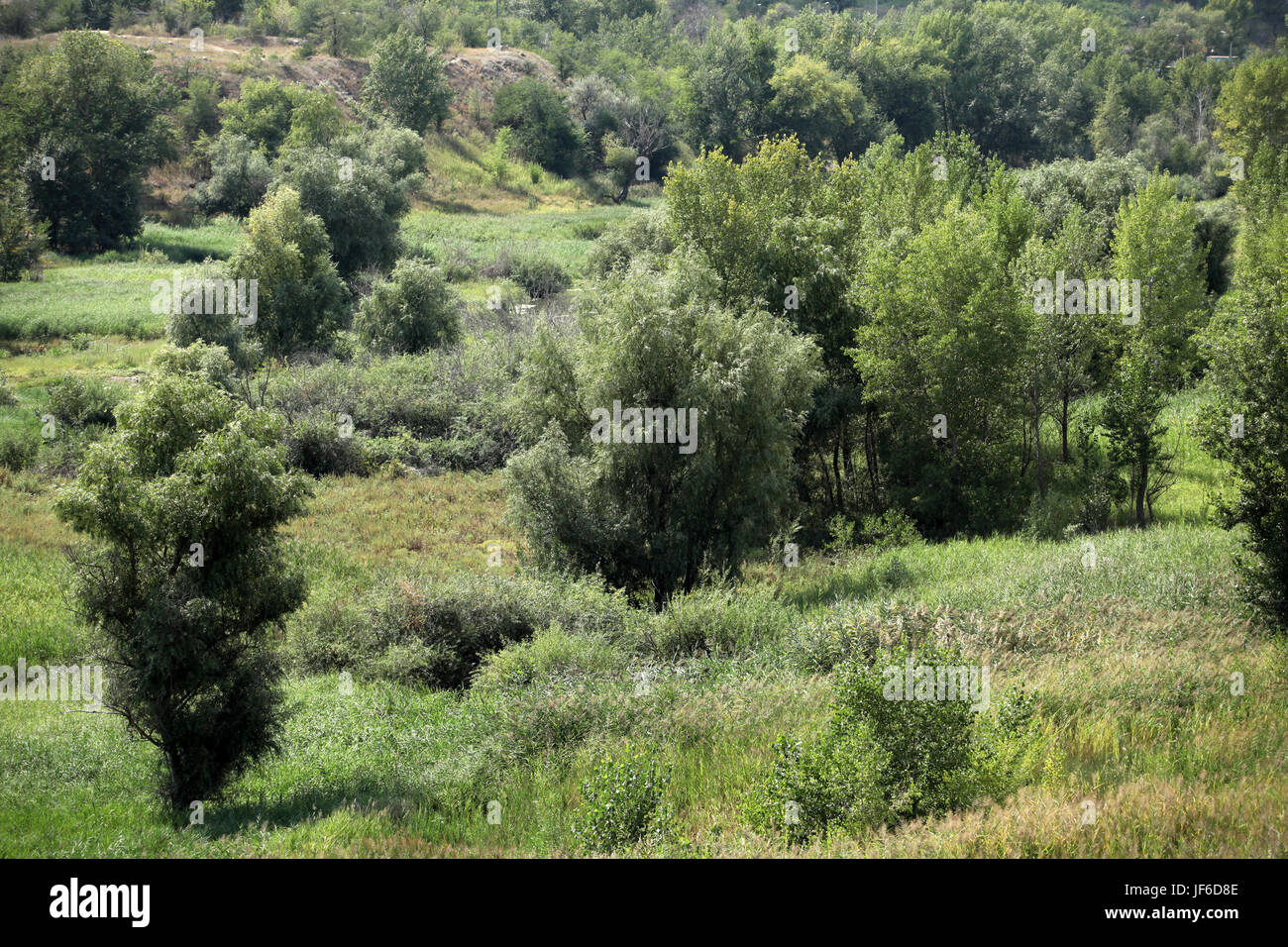 Green hilly landscape Stock Photo - Alamy