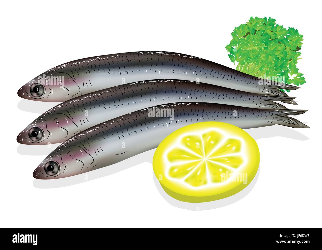 Pilchard vector vectors hi-res stock photography and images - Alamy