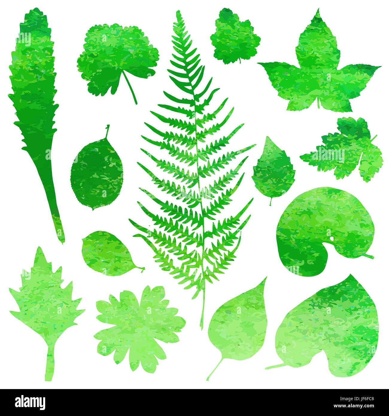 leaf, object, art, isolated, model, design, project, concept, plan ...