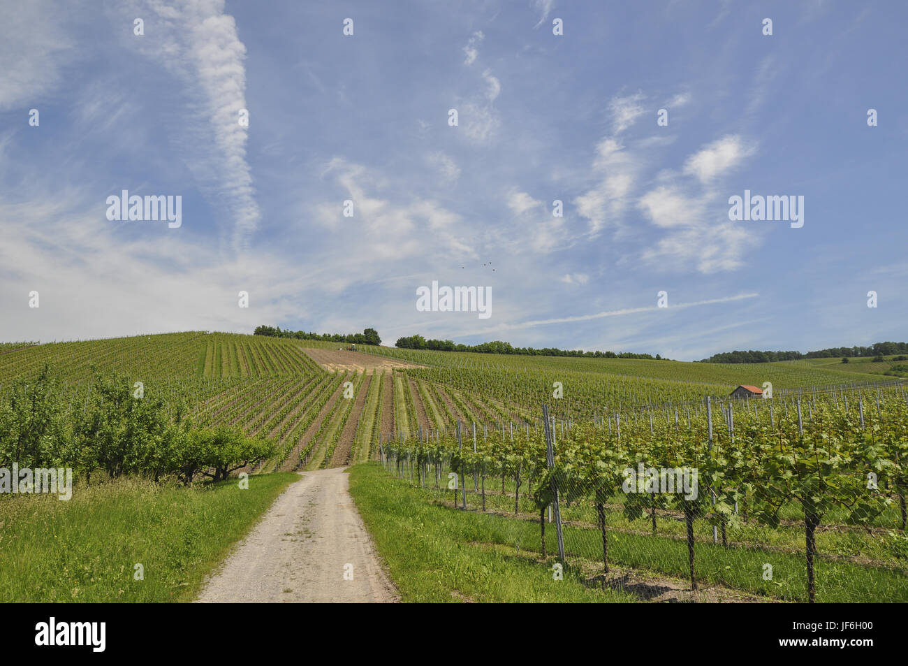 Michelbach am wald hi-res stock photography and images - Alamy