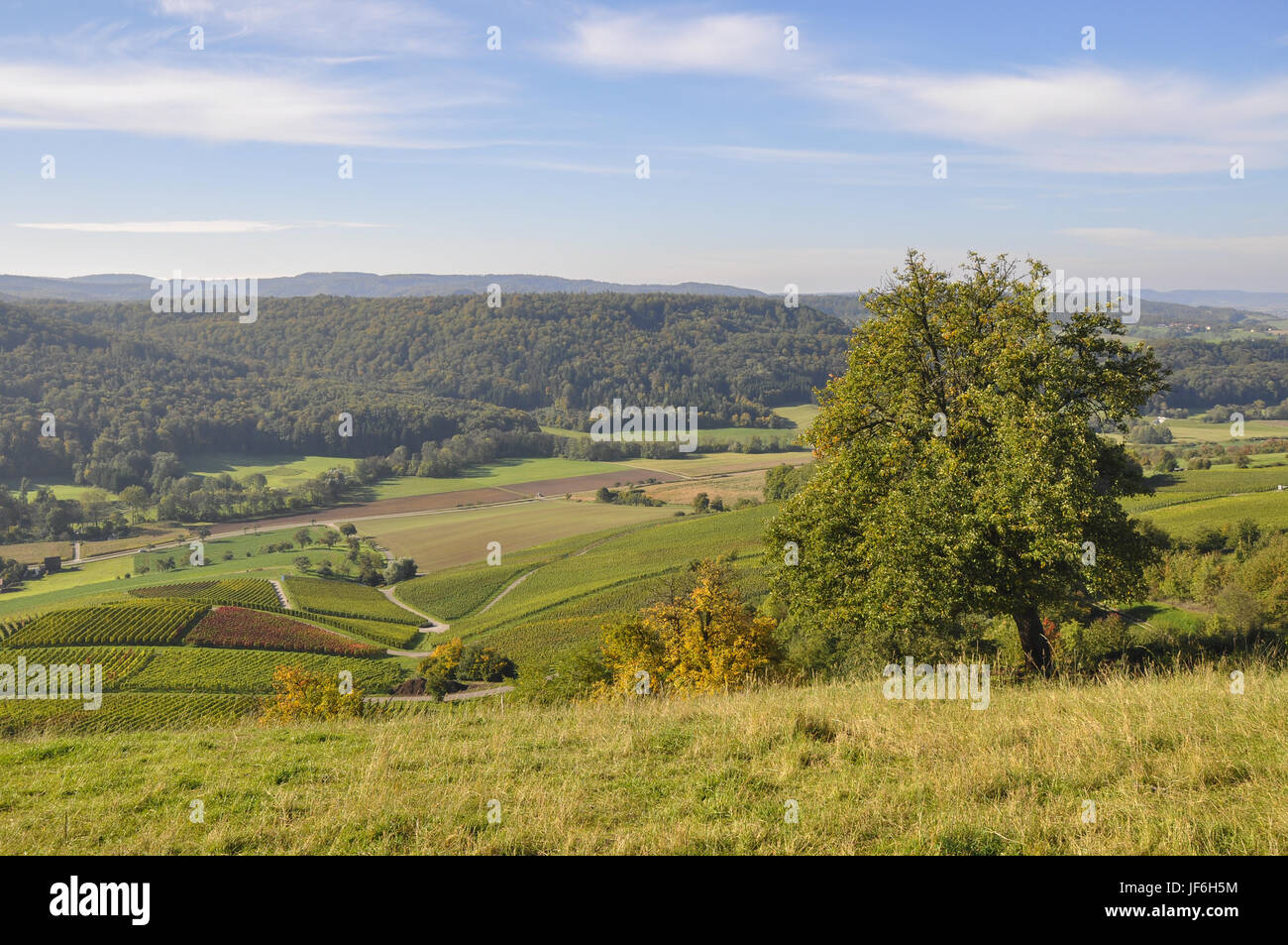 Geddelsbach hi-res stock photography and images - Alamy