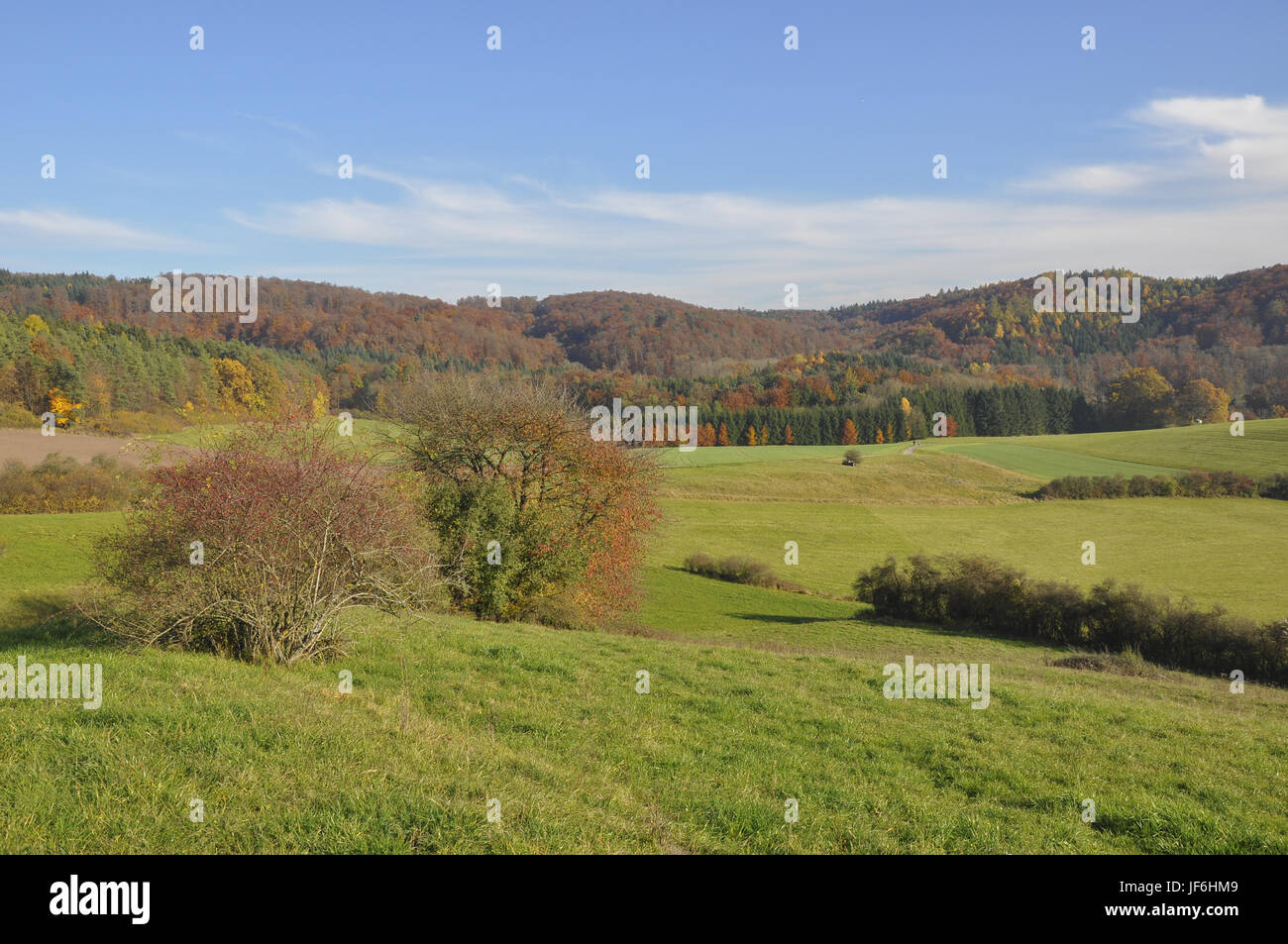 Michelbach an der bilz hi-res stock photography and images - Alamy