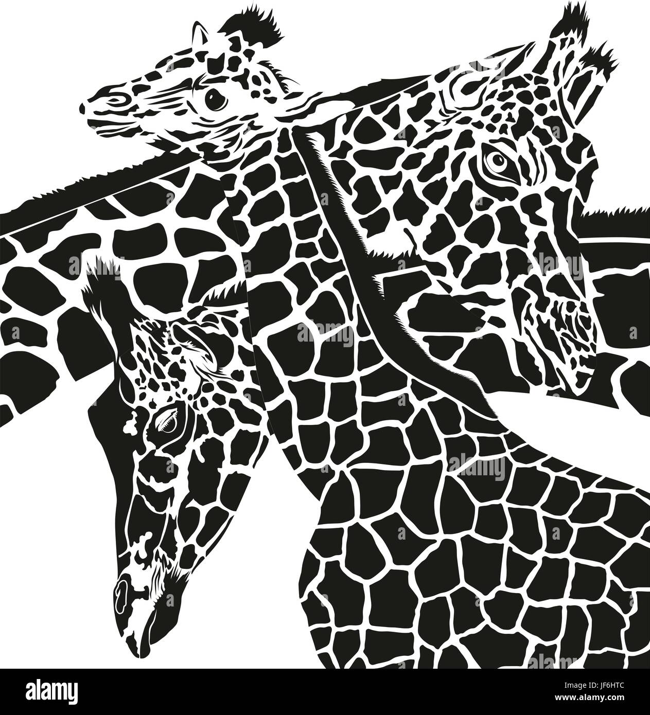 isolated, graphics, illustration, safari, giraffe, pattern, nature ...