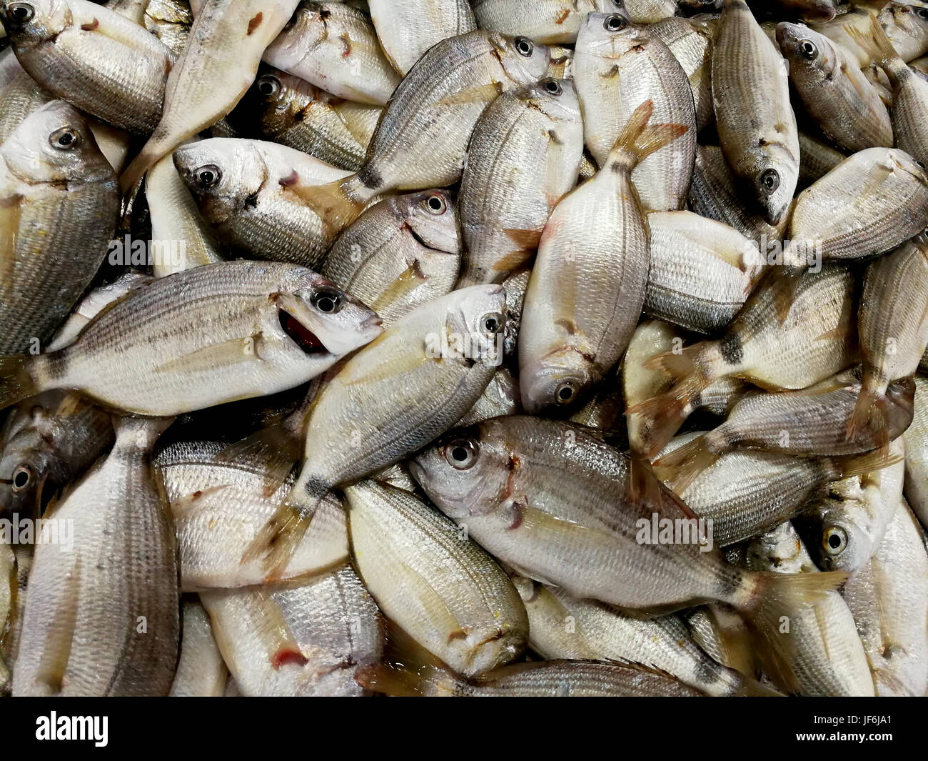 Marina beach fish market hi-res stock photography and images - Alamy