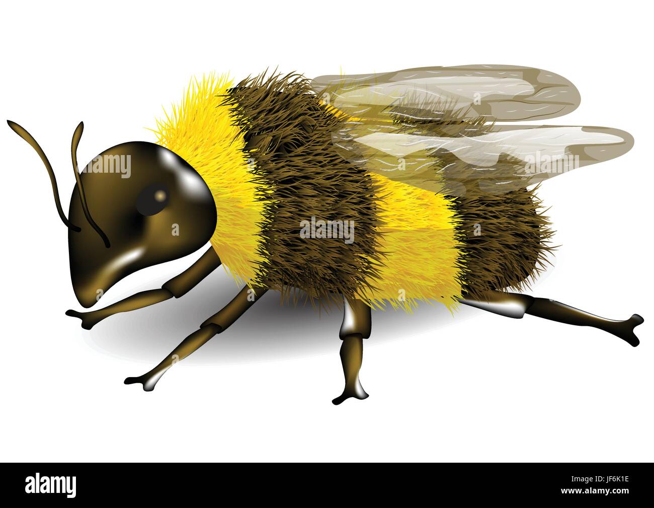 Pollination insect macro Stock Vector Images - Alamy