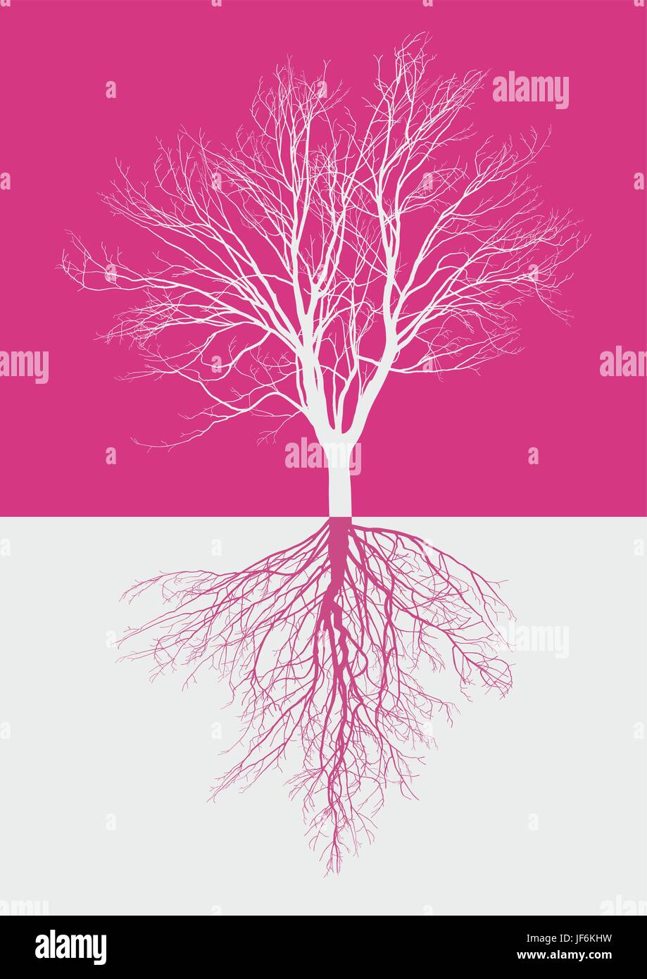 Tree root illustration hi-res stock photography and images - Alamy