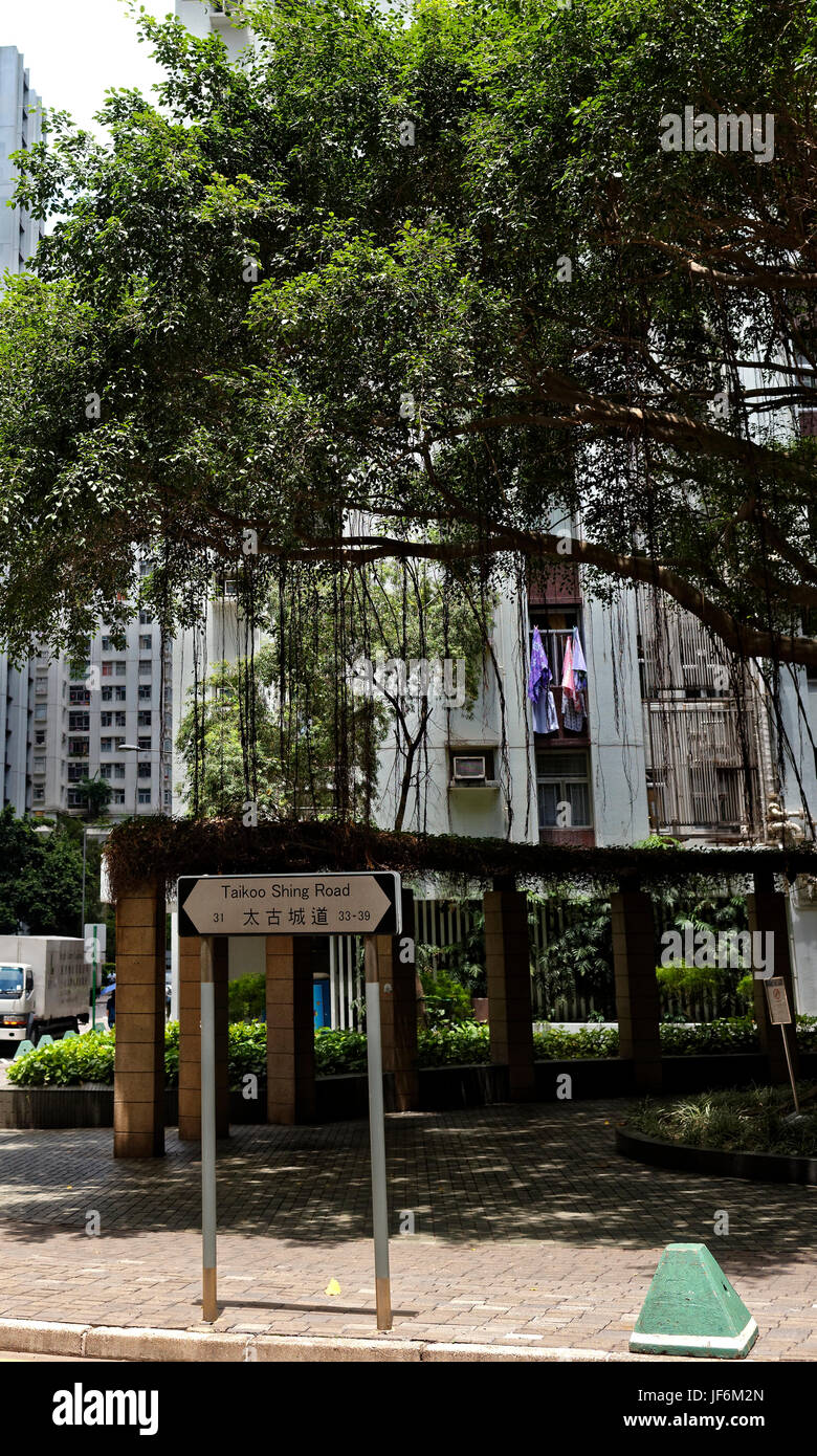 Taikoo Park, Taikoo Shing, Hong Kong Stock Photo - Alamy