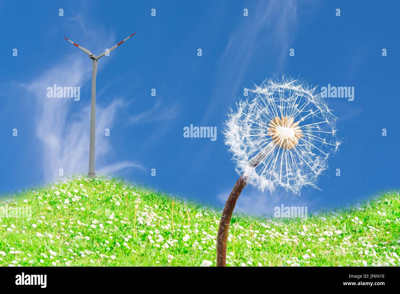 Dandelion in a meadow and wind turbine Stock Photo - Alamy