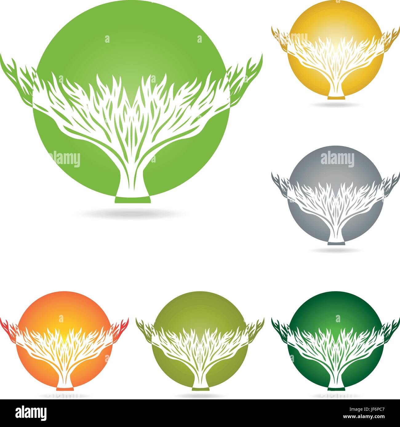 Liberty tree hi-res stock photography and images - Alamy