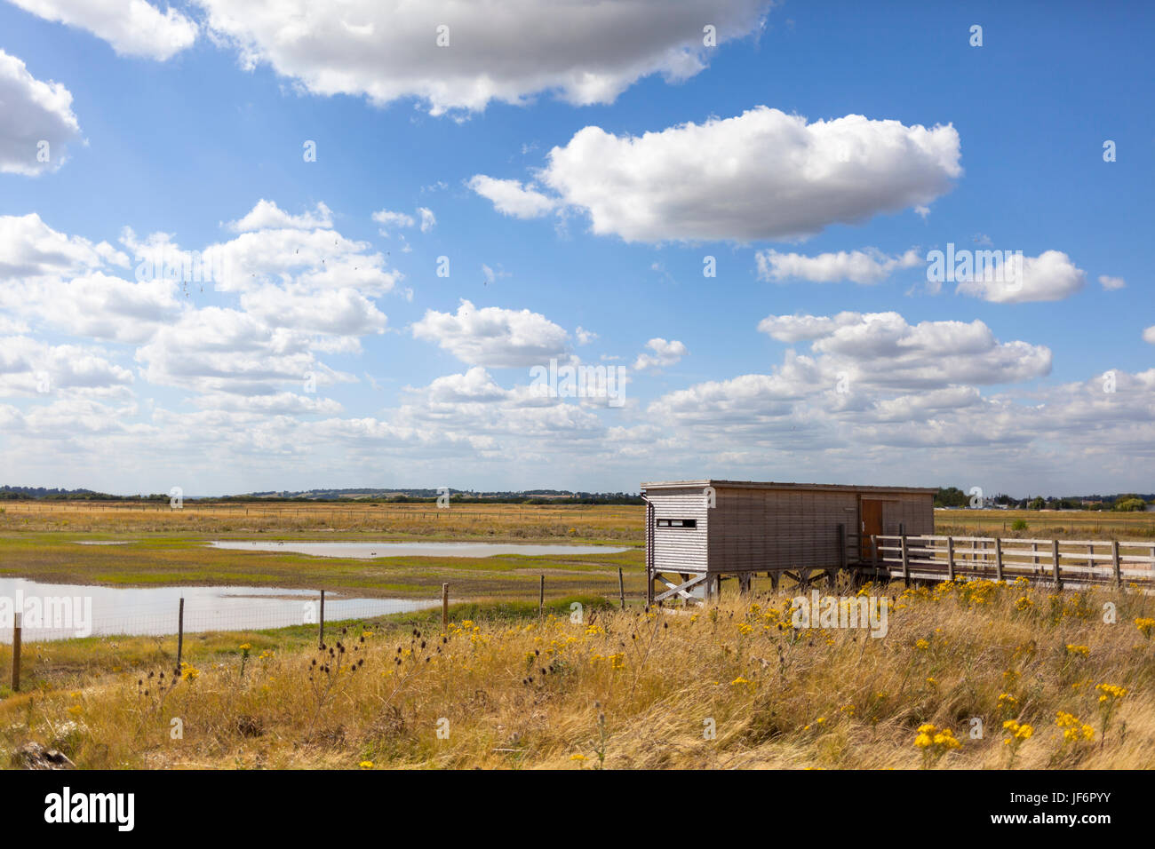 Harbour Bird Reserve High Resolution Stock Photography and Images - Alamy