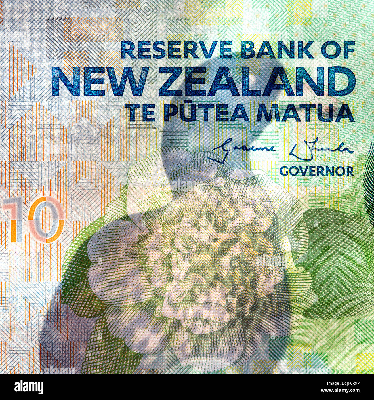 New Zealand Currency Stock Photo - Alamy