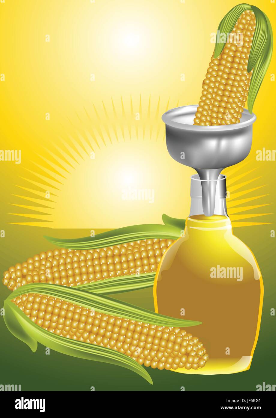 food, aliment, liquid, harvest, golden, illustration, traditional, raw ...