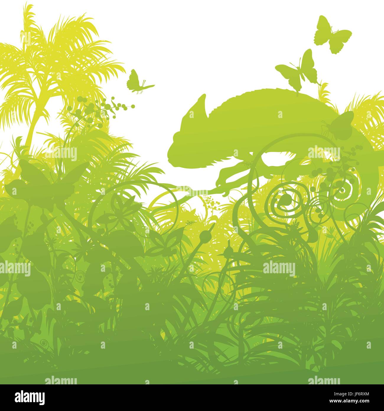virgin forest, hide, camouflage, chameleon, hooded, biology, change of ...
