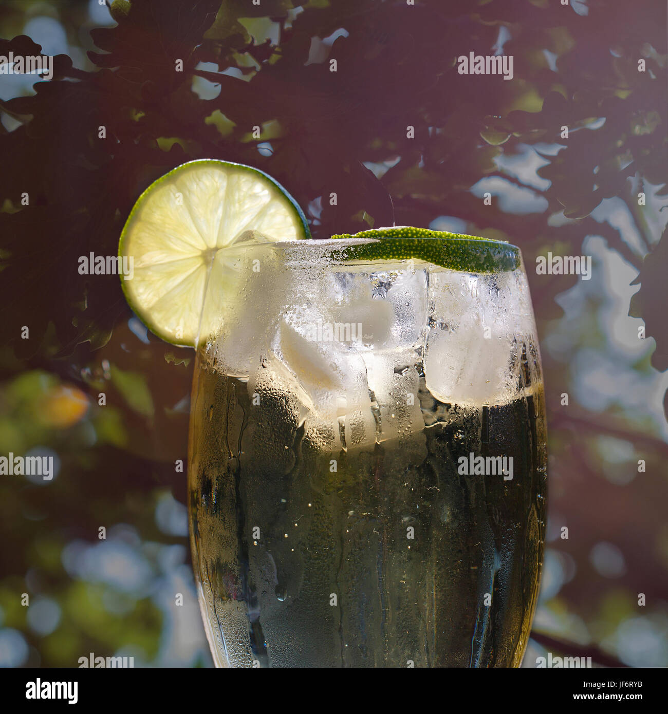 Glass of Cider Stock Photo - Alamy