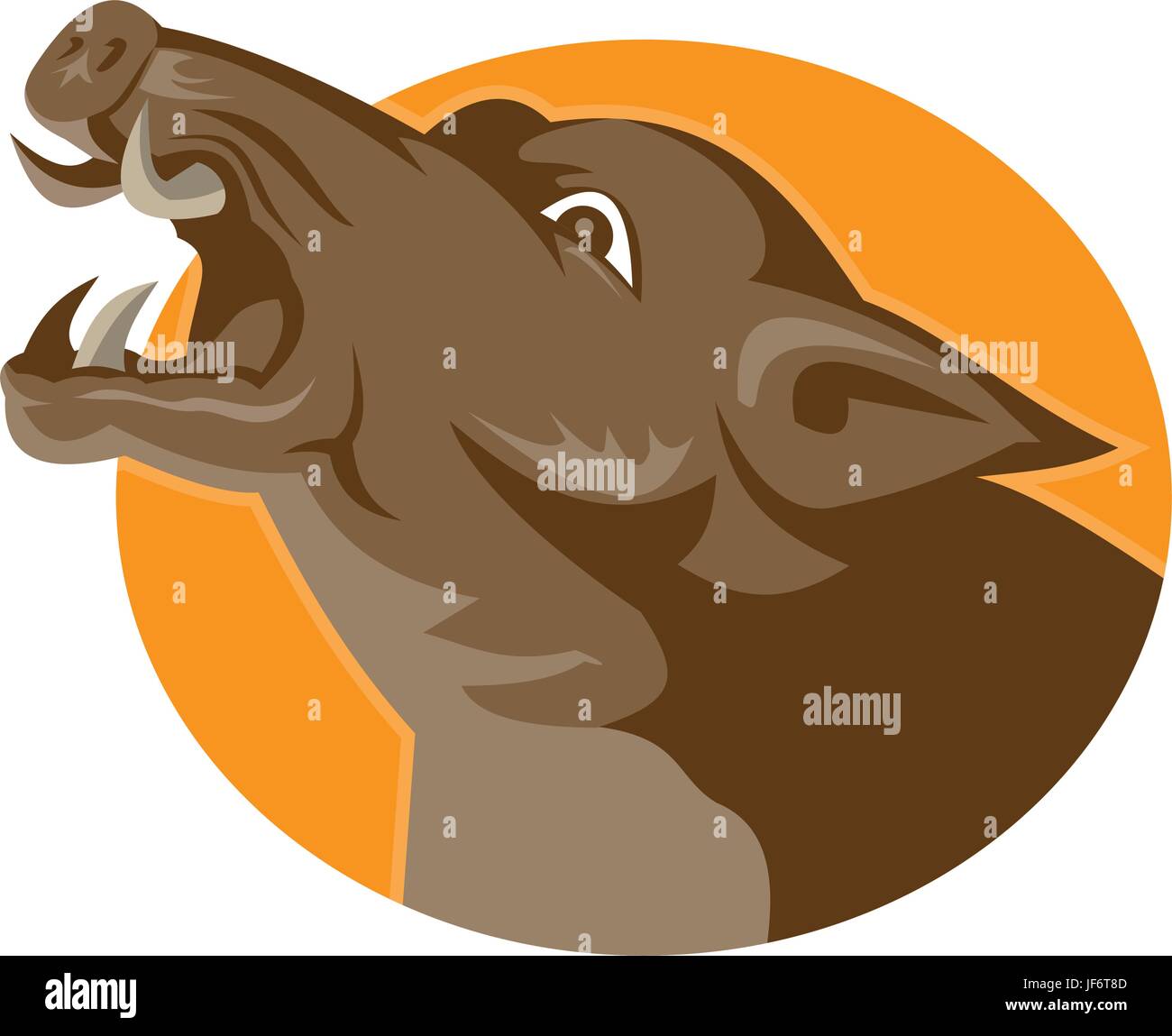 animal, pig, graphics, animal, illustration, retro, raving, furious ...