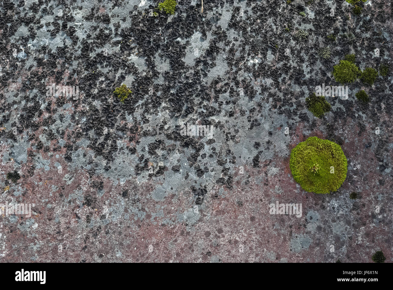 Moss grown stone wall hi-res stock photography and images - Alamy