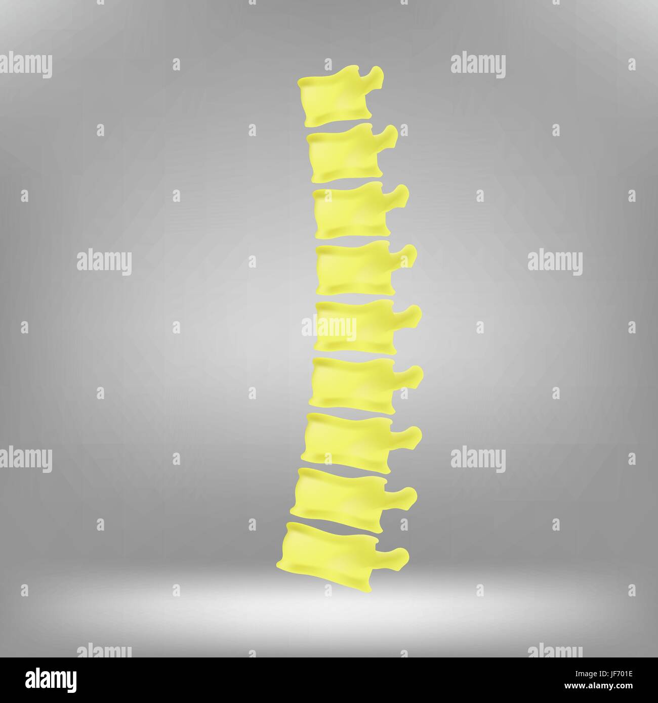 Spine Icon On Grey Background. Human Backbone Symbol Stock Vector Image ...