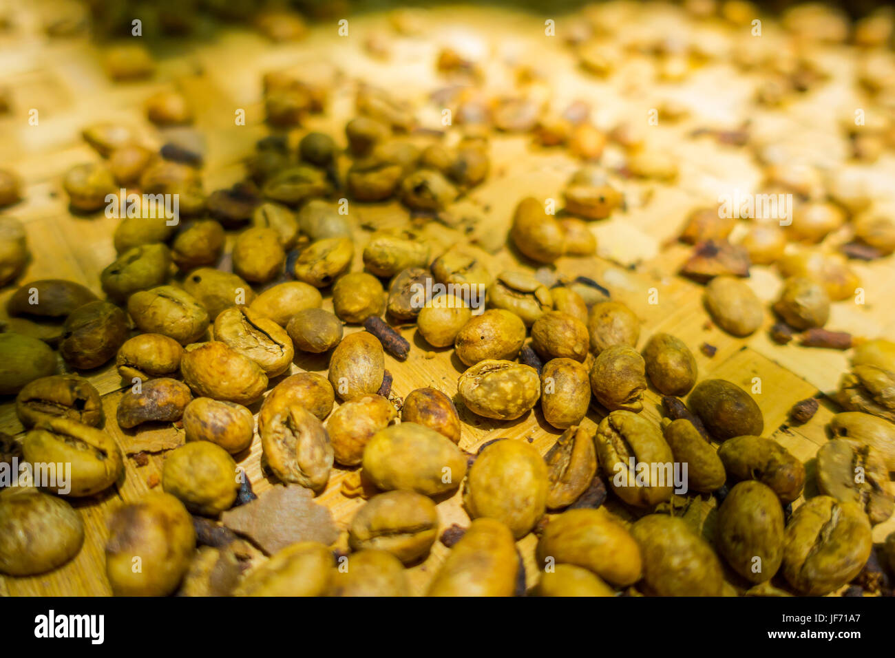 Kopi luwak or civet coffee, is one of the world's most expensive and ...