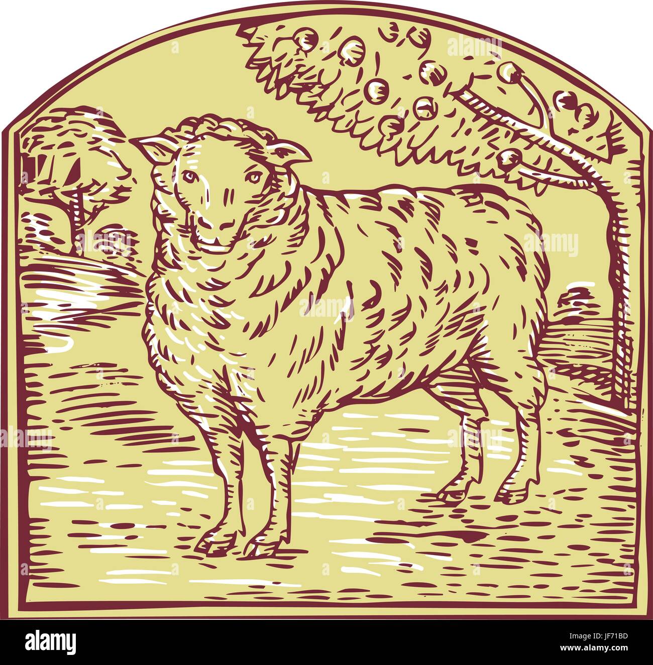 Lamb Etching High Resolution Stock Photography and Images - Alamy