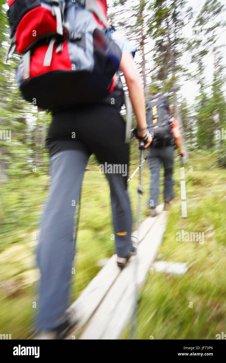 Backpackers hiking in forest Stock Photo - Alamy