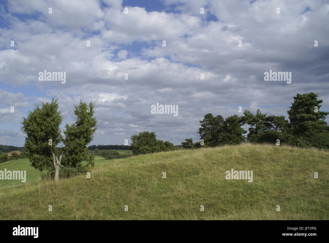 Juniper hall hi-res stock photography and images - Alamy