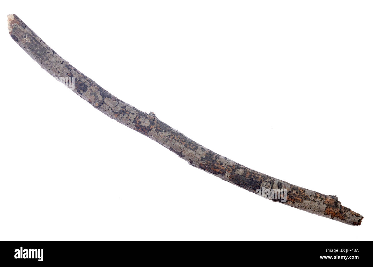 Twig hi-res stock photography and images - Alamy