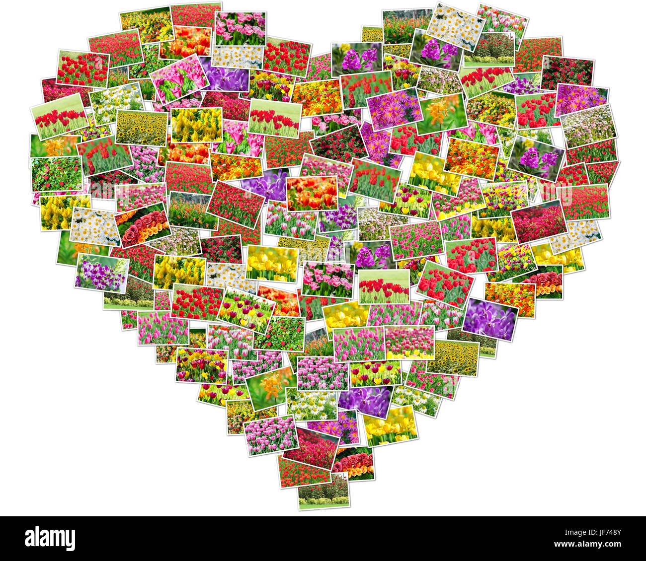 Collage wall photos shape hi-res stock photography and images - Alamy