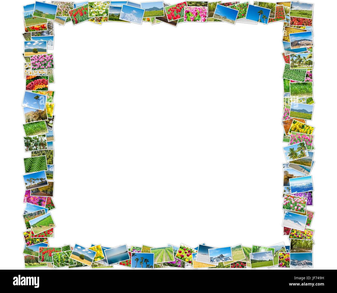 Frame made of various nature photos Stock Photo - Alamy
