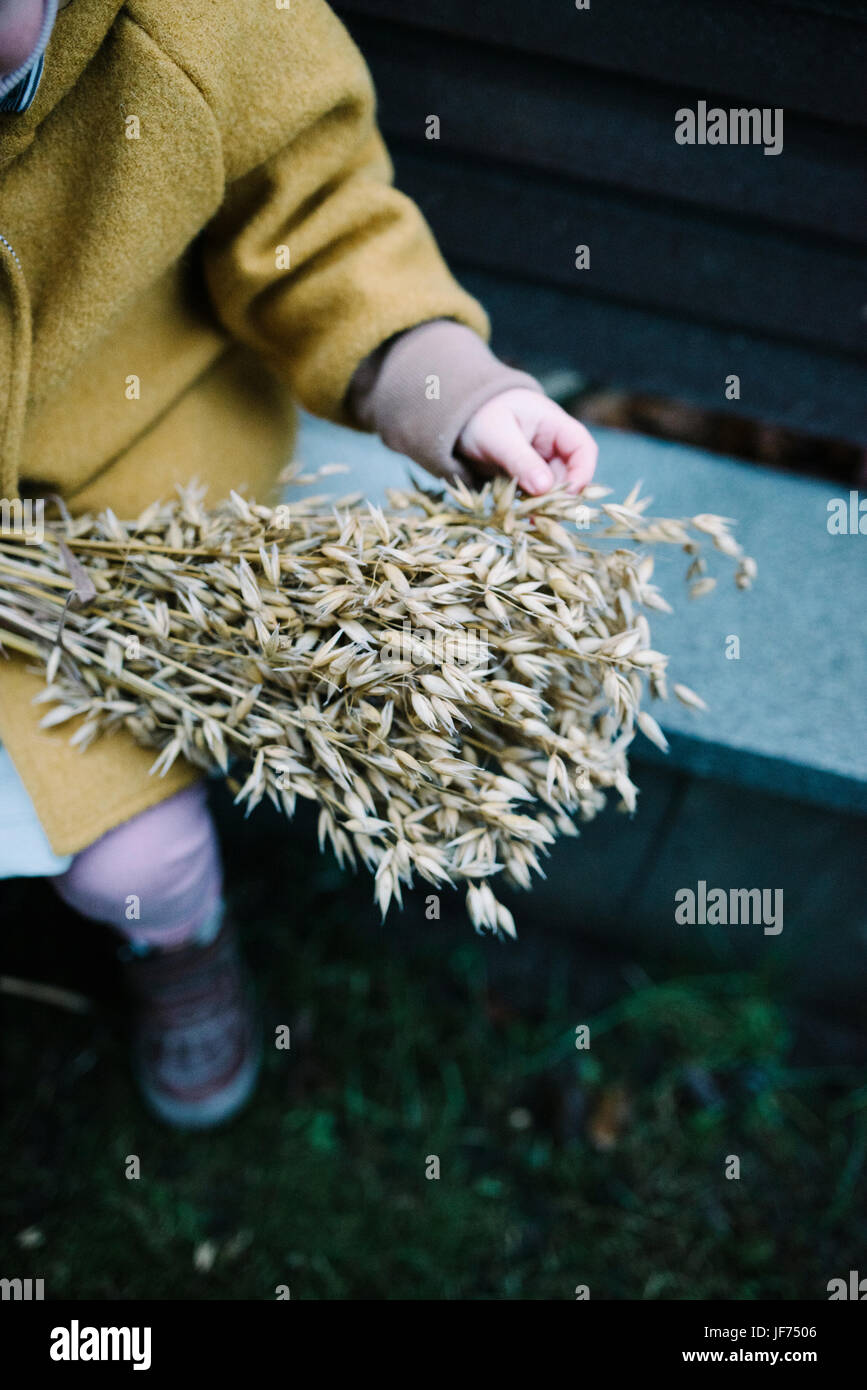 A girl holing a corn sheaf Stock Photo - Alamy