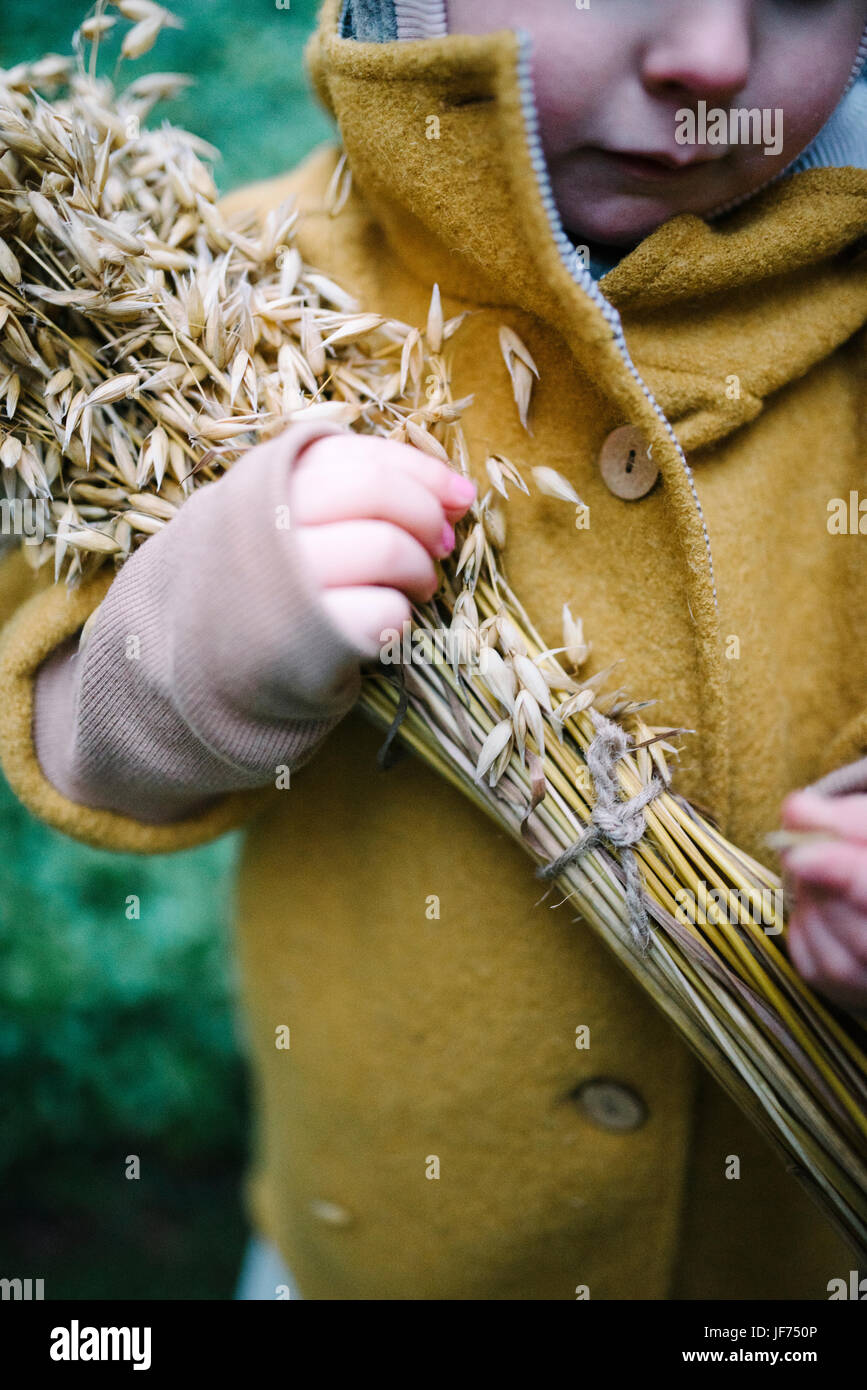 A girl holing a corn sheaf Stock Photo - Alamy