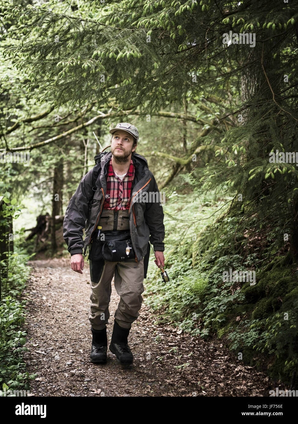 Young man hiking in forest Stock Photo - Alamy